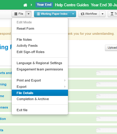 What template is your File using – MyWorkpapers